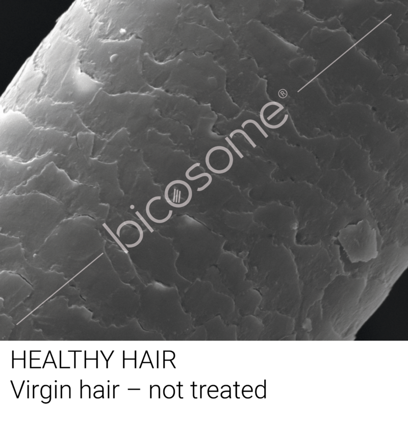 Technology Bicohair - Bicosome