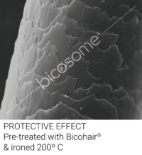 Technology Bicohair - Bicosome